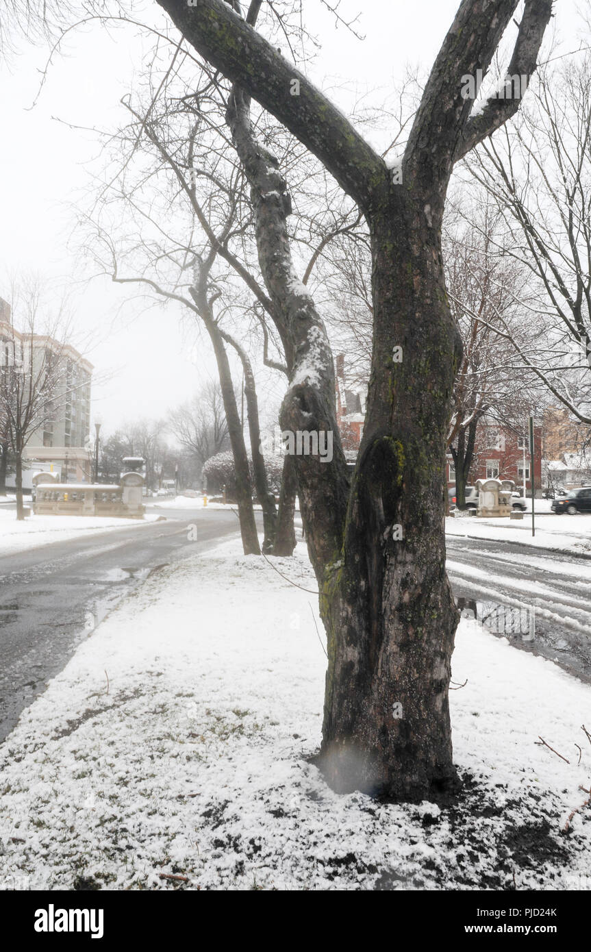 Rochester, New York USA streetscape in the winter Stock Photo - Alamy