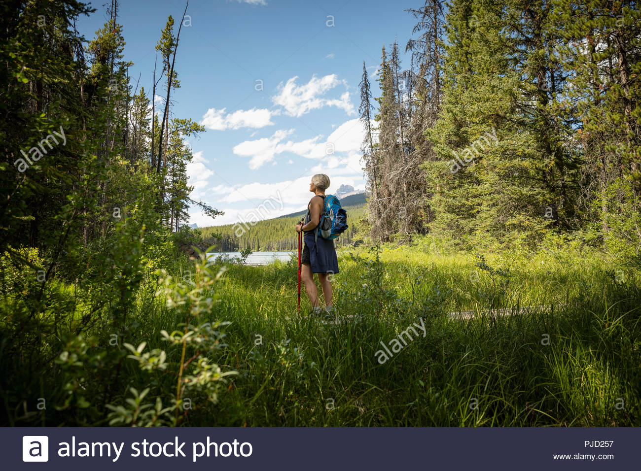Backpacking one women traveler nature hi-res stock photography and ...