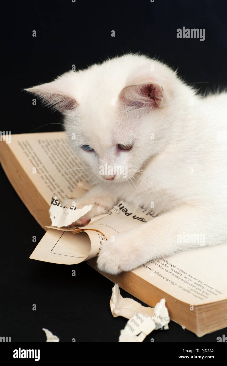 Ripping book hi-res stock photography and images - Alamy