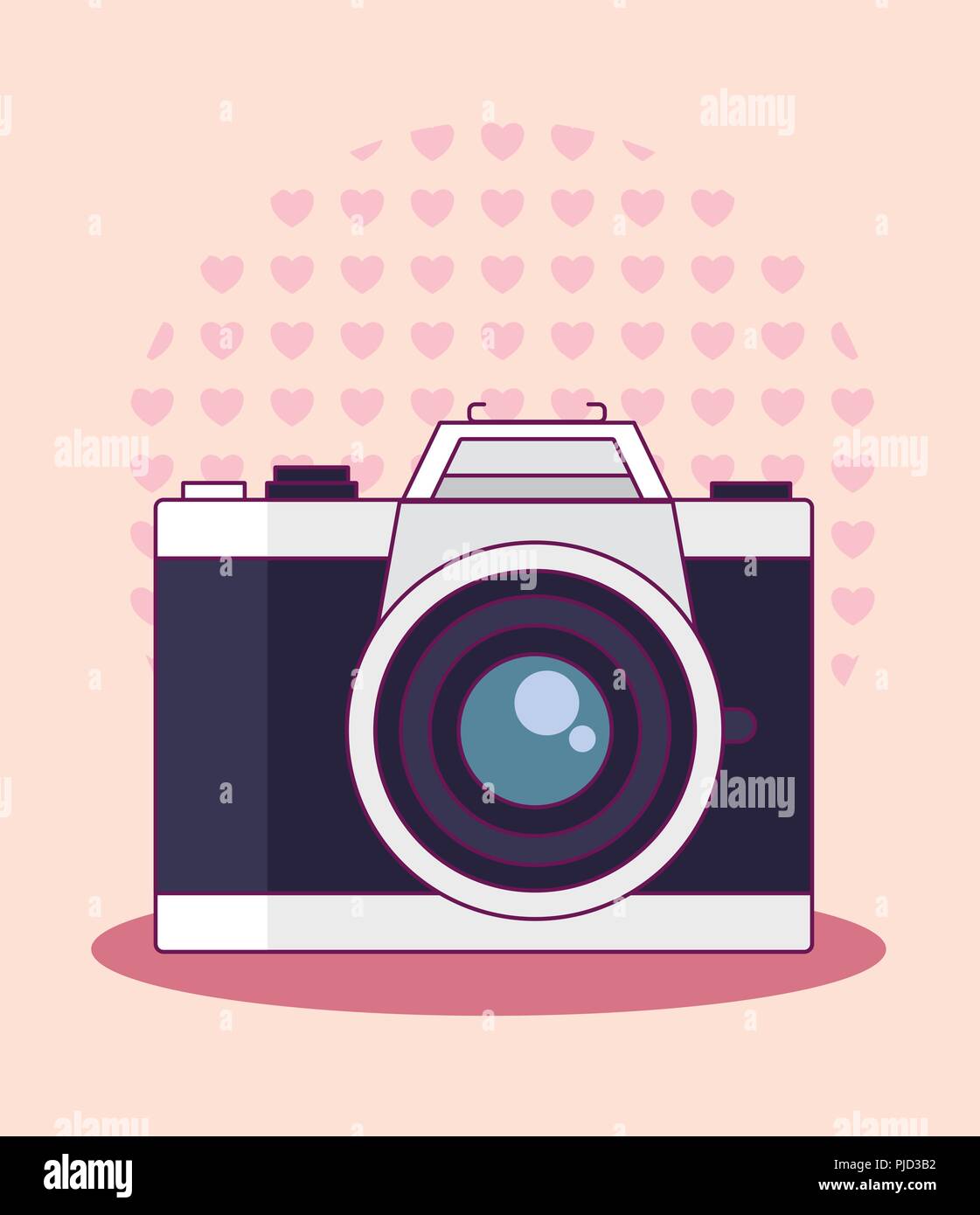 camera photographic isolated icon vector illustration design Stock ...
