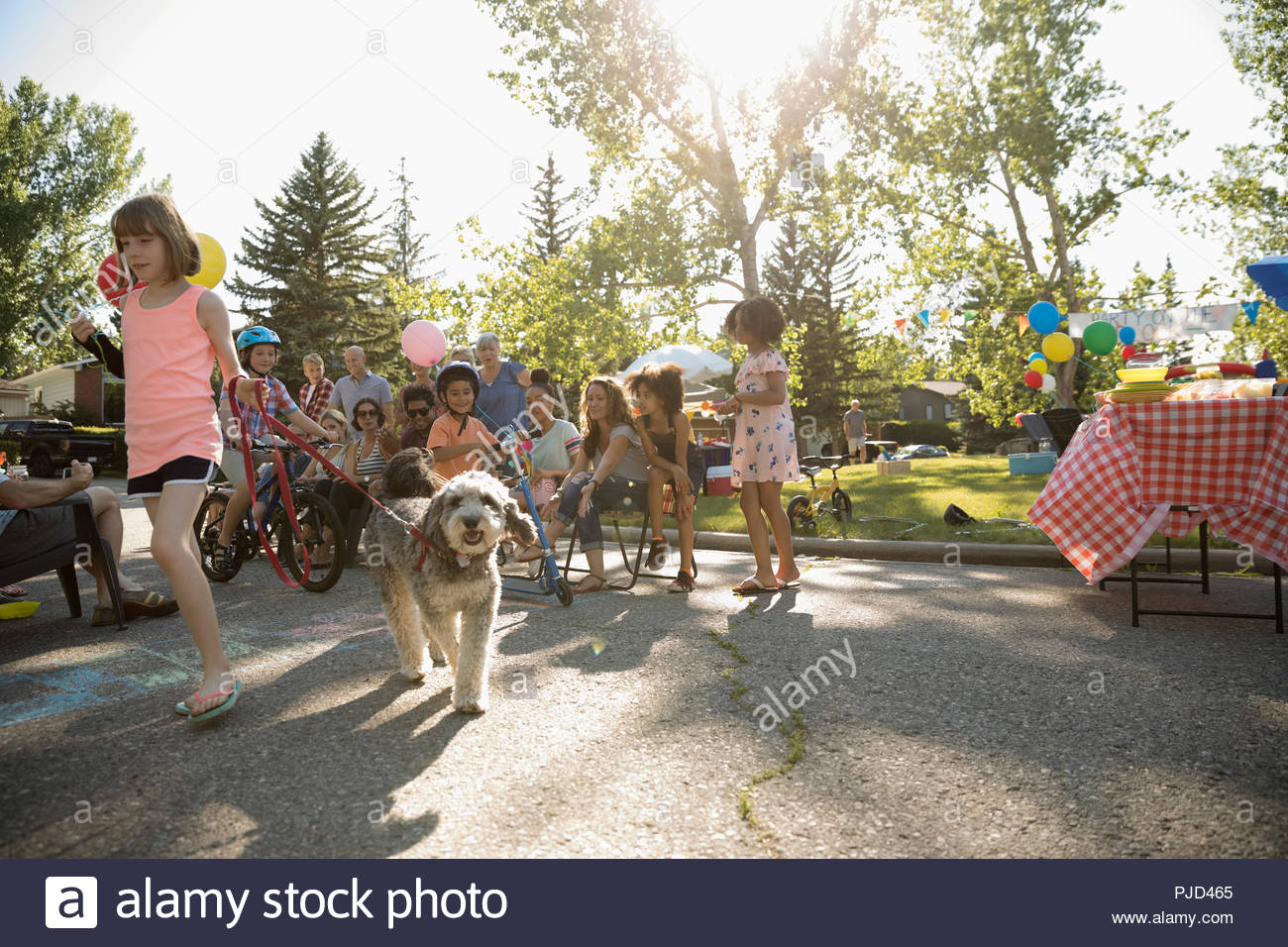 Dog parade hi-res stock photography and images - Alamy
