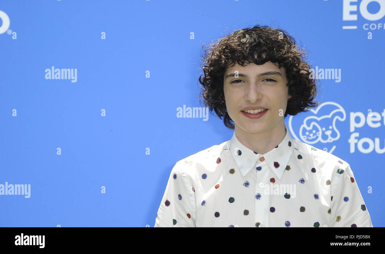 Film Premiere of Dog Days Featuring: Finn Wolfhard Where: Los Angeles ...