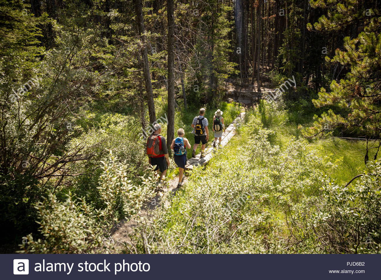 Mature Woman Hiking On Trail Stock Photos & Mature Woman Hiking On ...