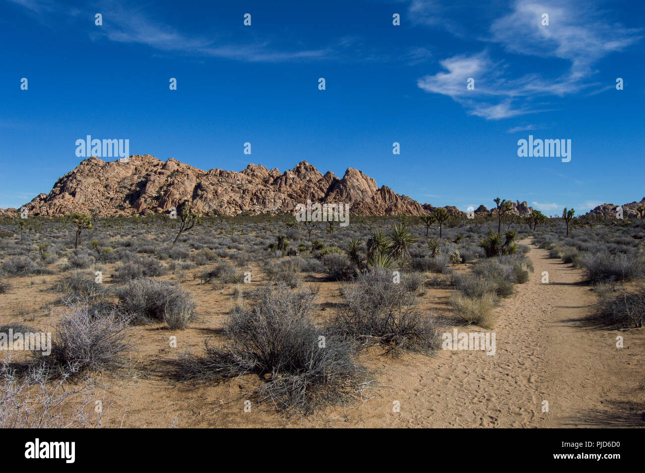 Tree trails hi-res stock photography and images - Alamy