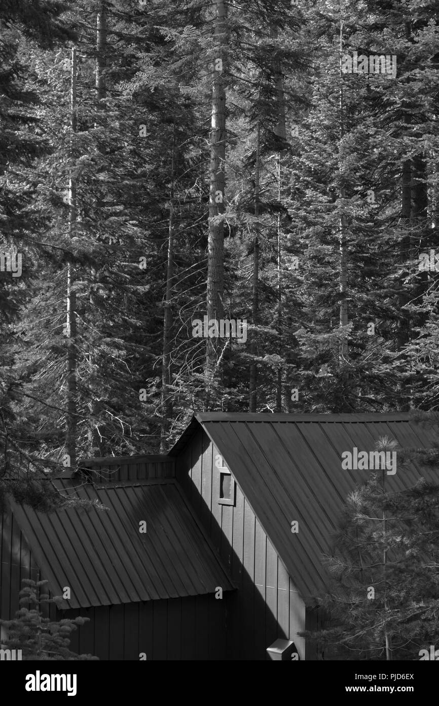 House hidden trees hi-res stock photography and images - Alamy