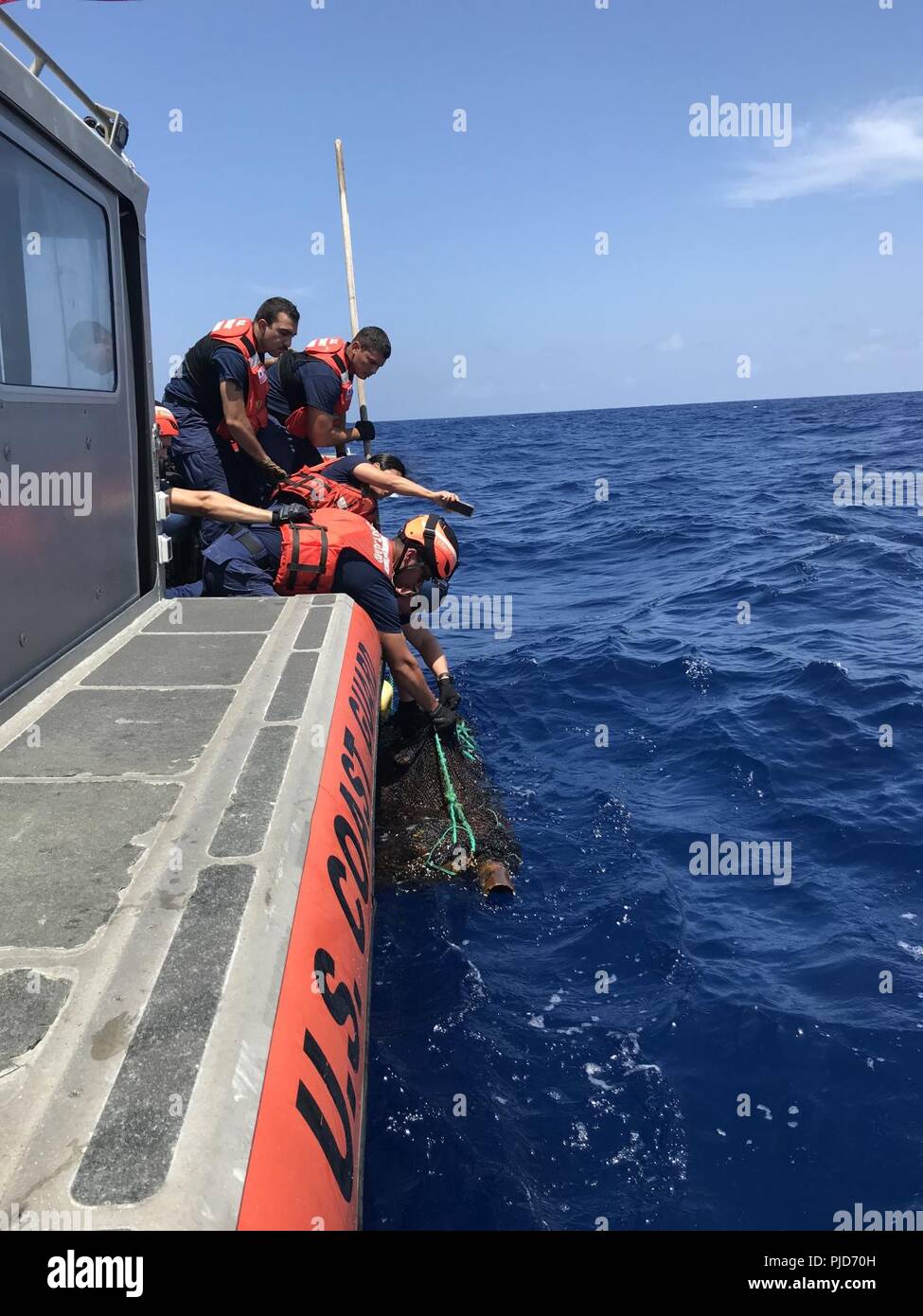 A Coast Guard Cutter Hamilton boat crew rescues an olive ridley sea ...