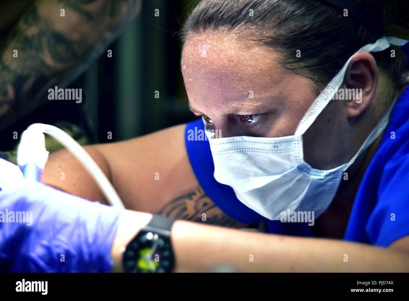 Military Working Dog (MWD) Szana receives updated vaccines, a dental ...
