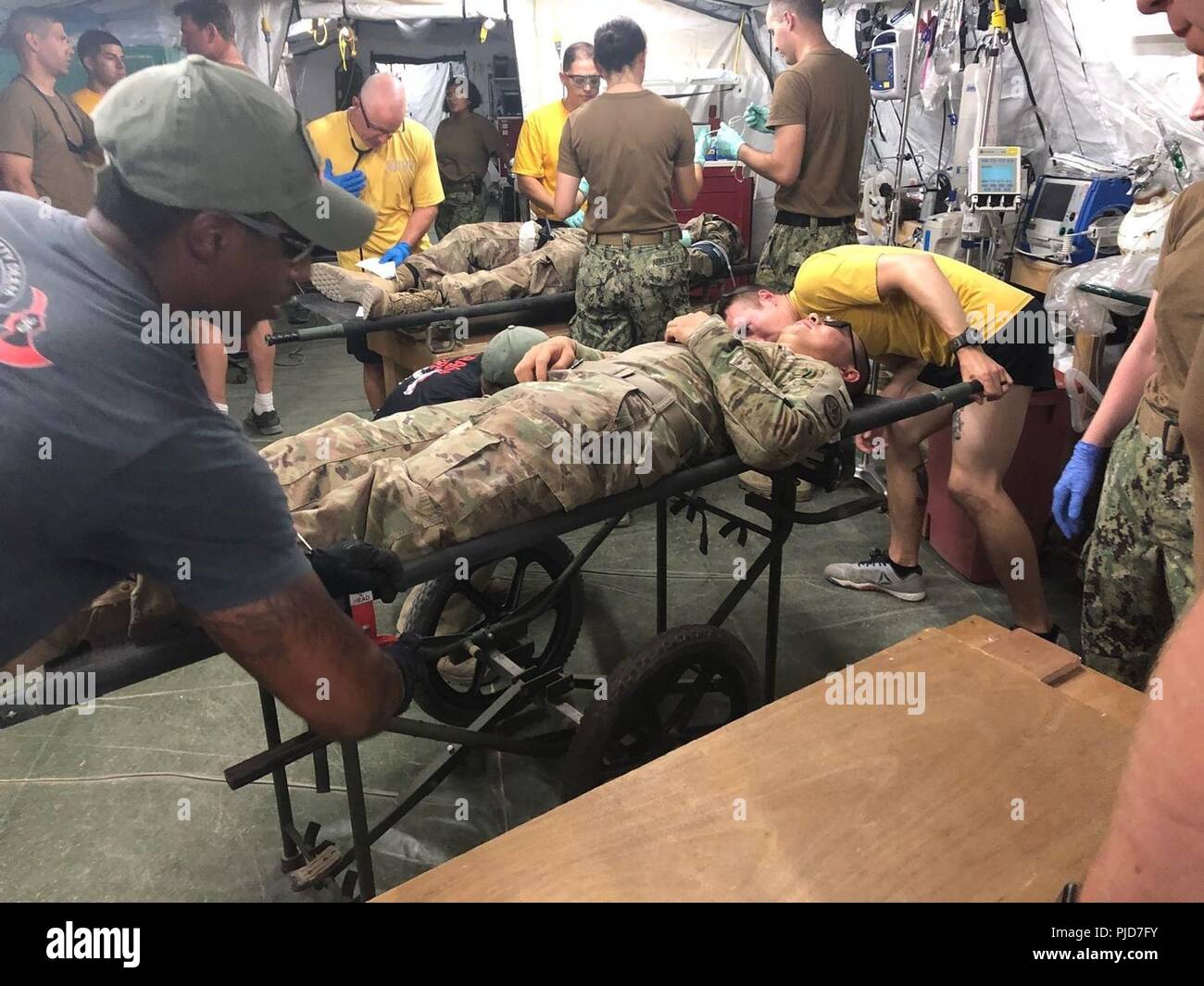 Cavalry pioneer squadron hi-res stock photography and images - Alamy