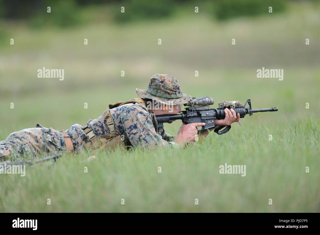 Marines from Company E, 4th Reconnaissance Battalion, 4th Marine ...