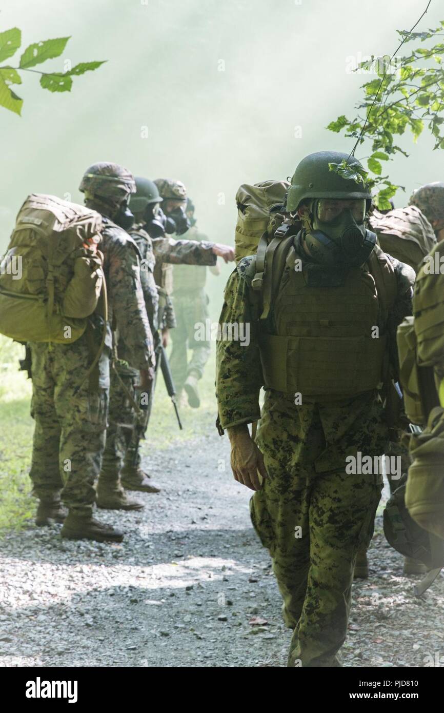 U.S. Marines participate in a Marine Corps Martial Arts Center of ...