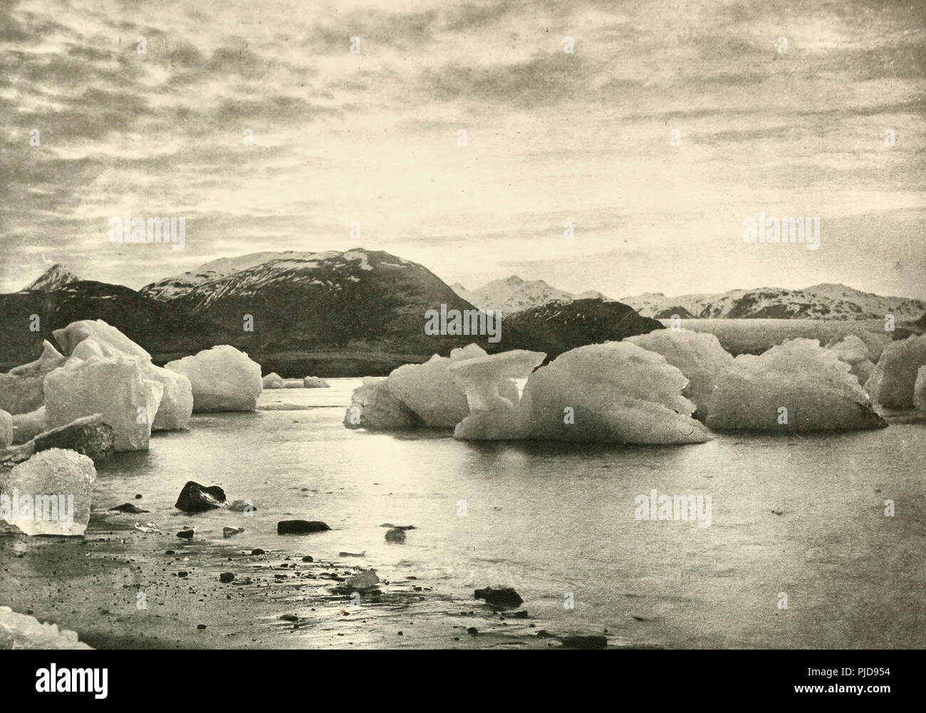 Muir inlet hi-res stock photography and images - Alamy