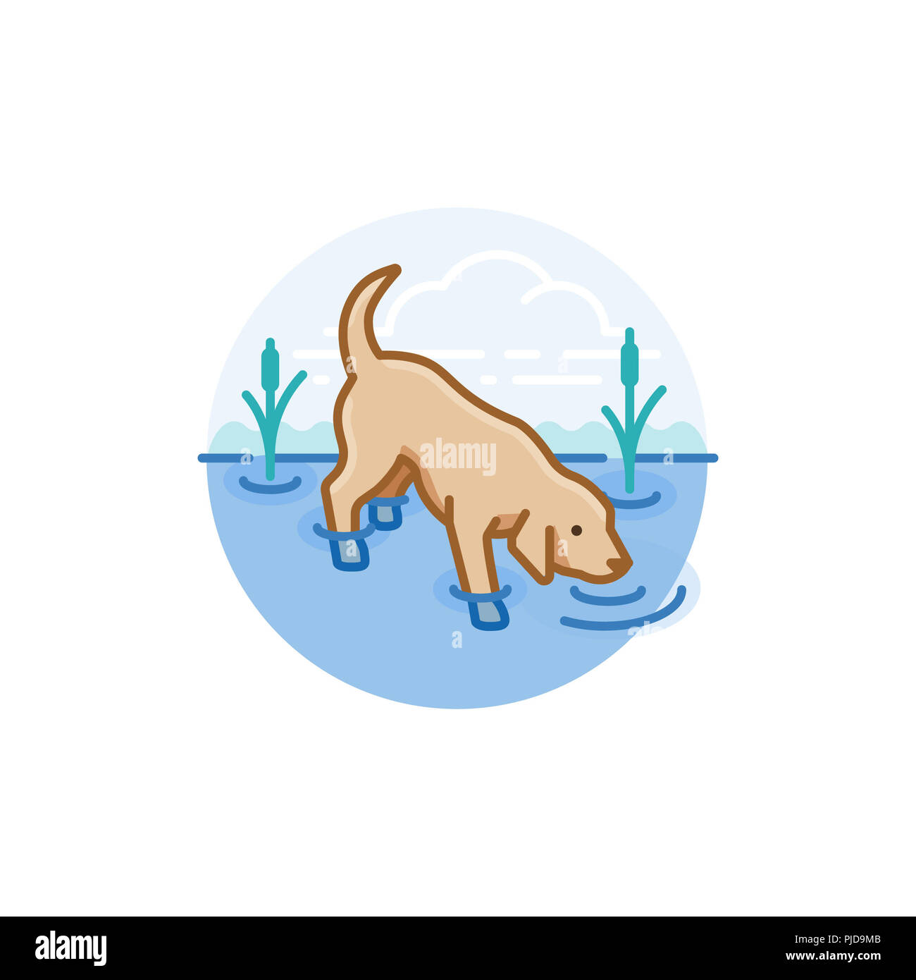 Illustration of dogs in various activities Stock Photo - Alamy
