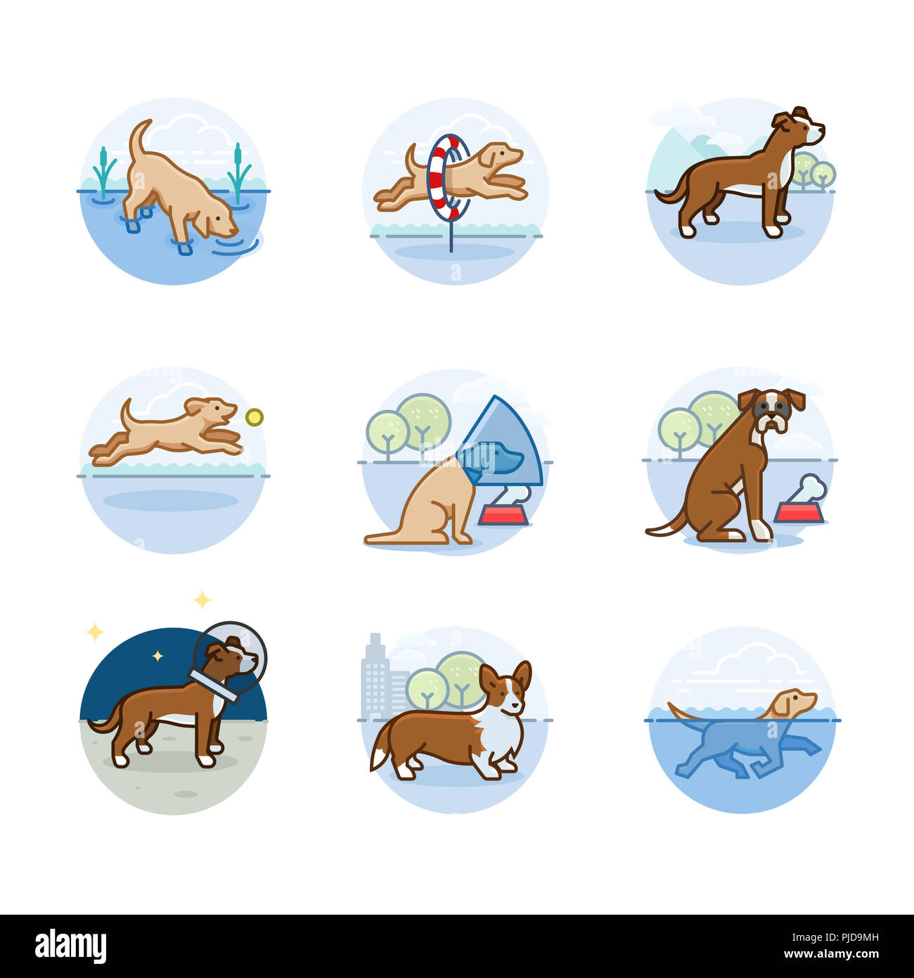 Dog catching ball in water Cut Out Stock Images & Pictures - Alamy