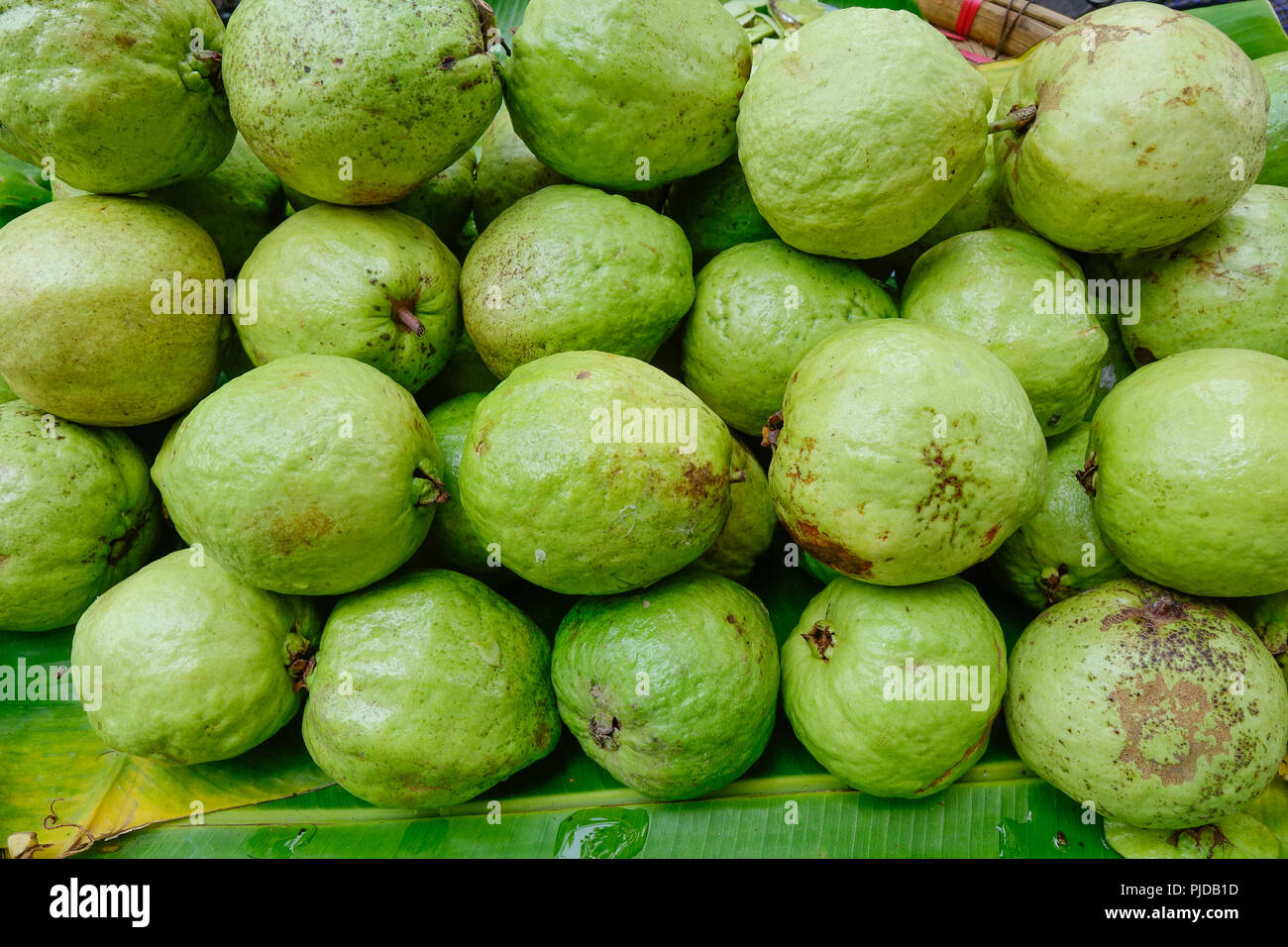 Mature guava fruit hi-res stock photography and images - Alamy