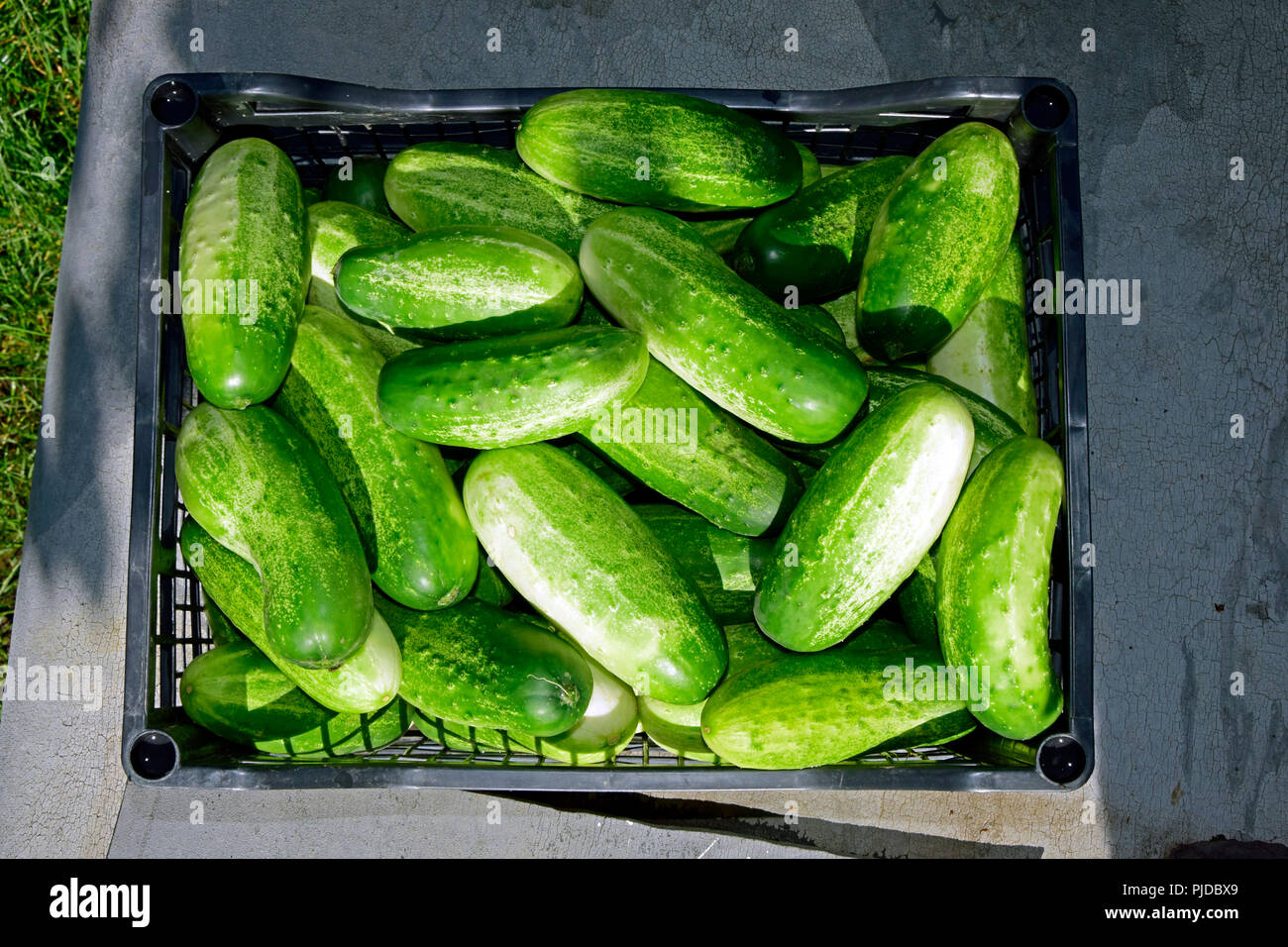 White case hi-res stock photography and images - Alamy