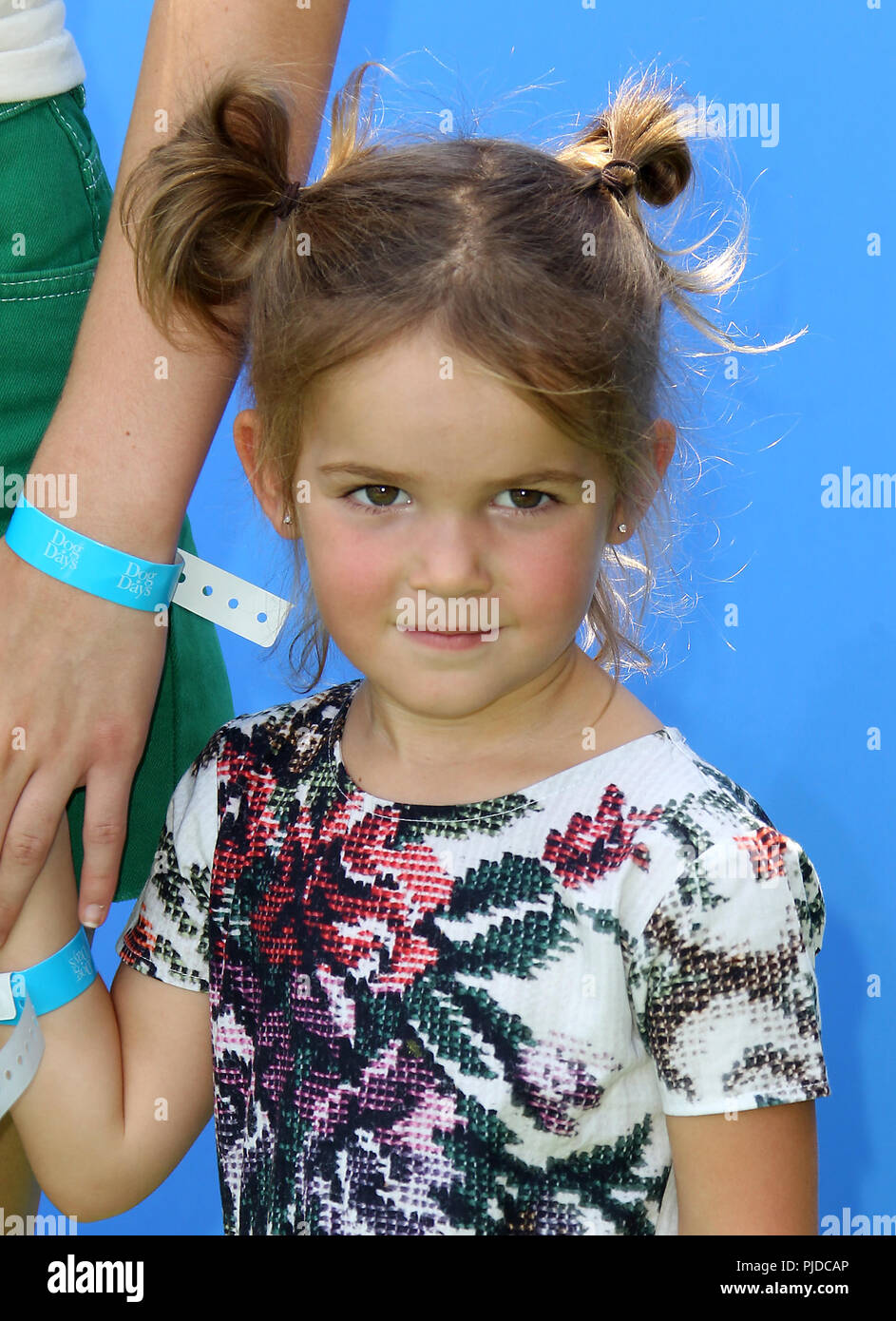 "Dog Days" World Premiere held at The Atrium at Westfield Century City ...