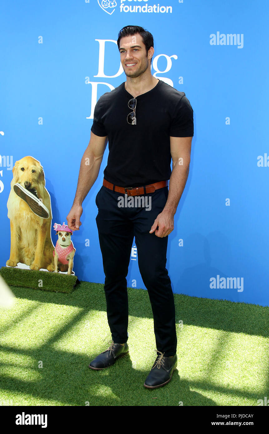 "Dog Days" World Premiere held at The Atrium at Westfield Century City ...