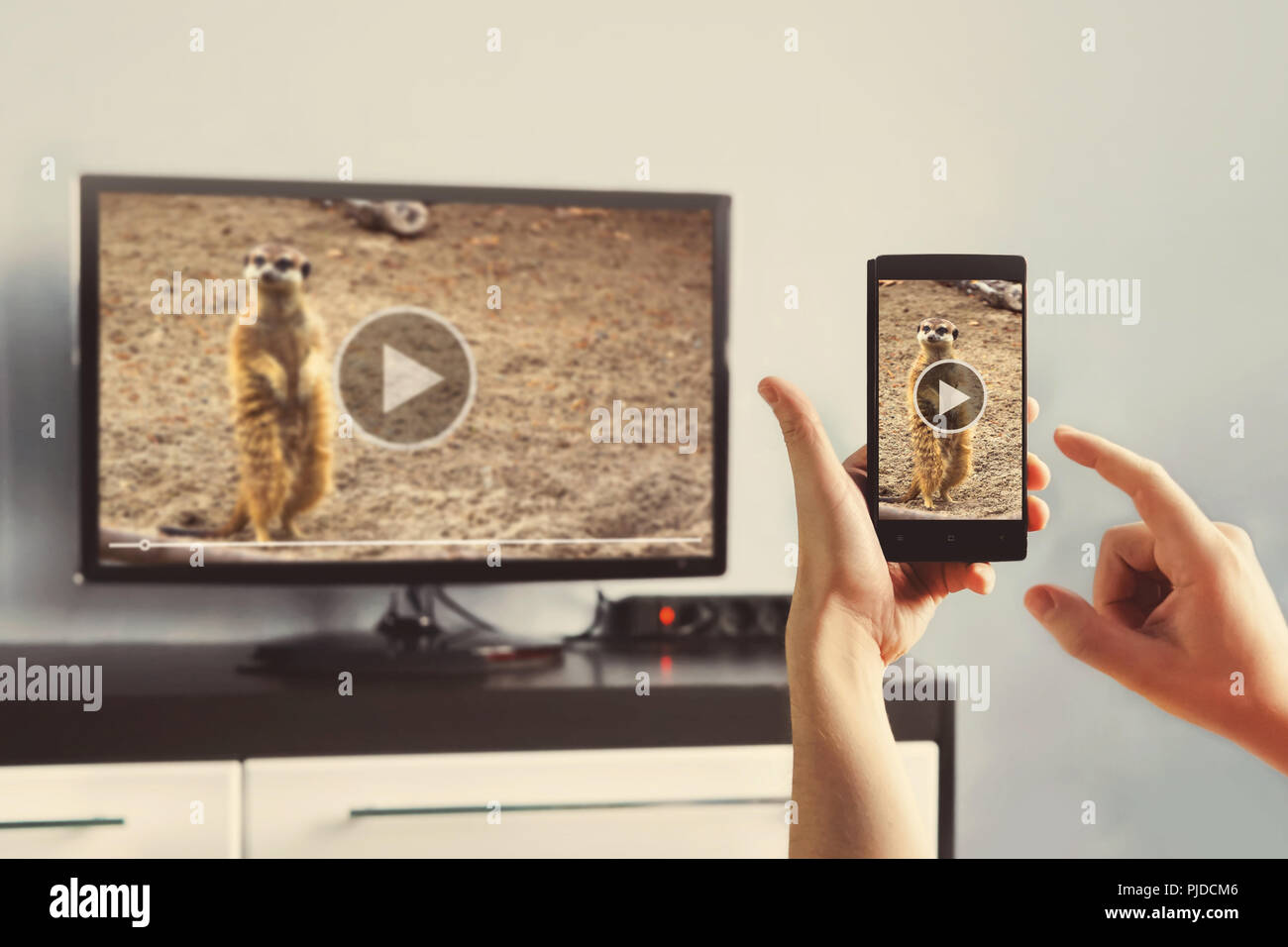 Closeup of a smart phone is connected to a smart TV. Views of videos ...