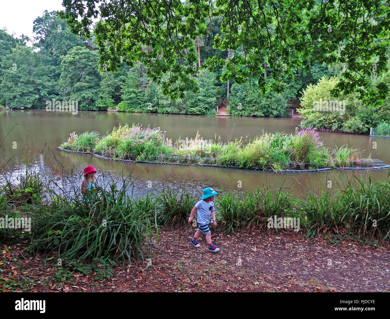 Children pond fishing hi-res stock photography and images - Alamy