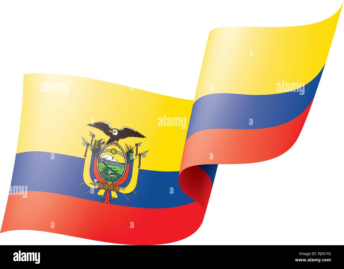 Ecuador flag, vector illustration on a white background Stock Vector ...