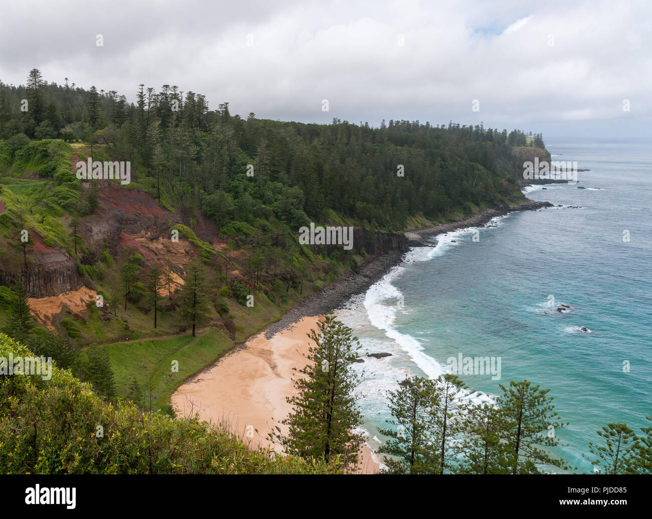 Anson Bay beach and Norfolk Pines, Norfolk Island Stock Photo - Alamy