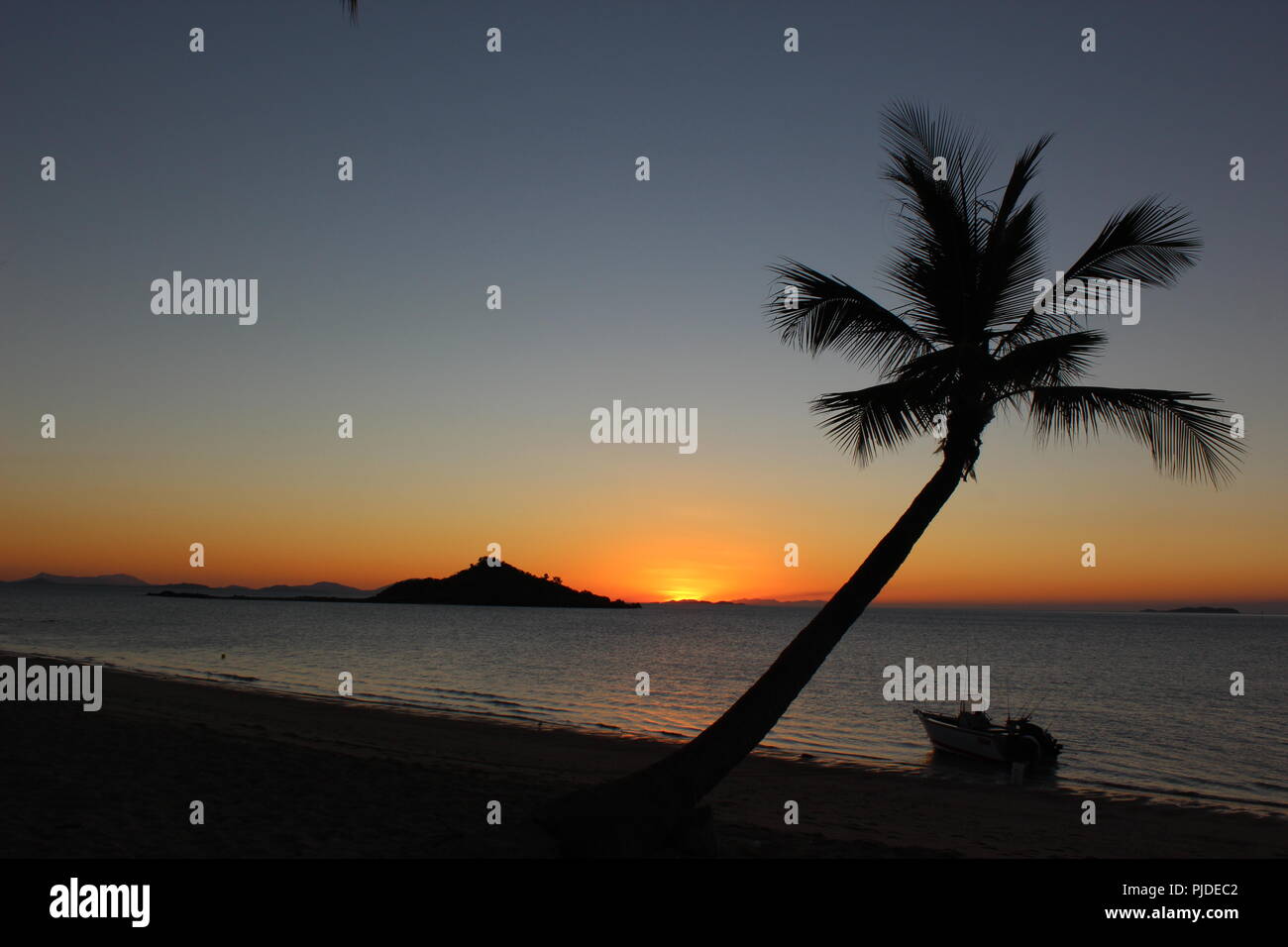 Australian palm tree and beach hi-res stock photography and images - Alamy