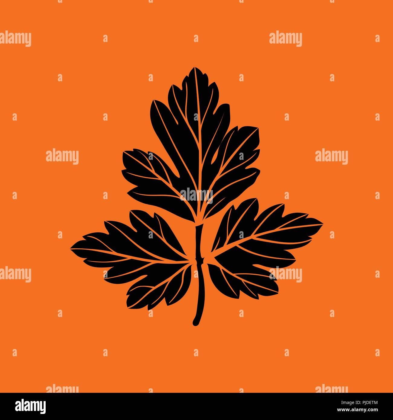 Parsley icon. Orange background with black. Vector illustration Stock ...