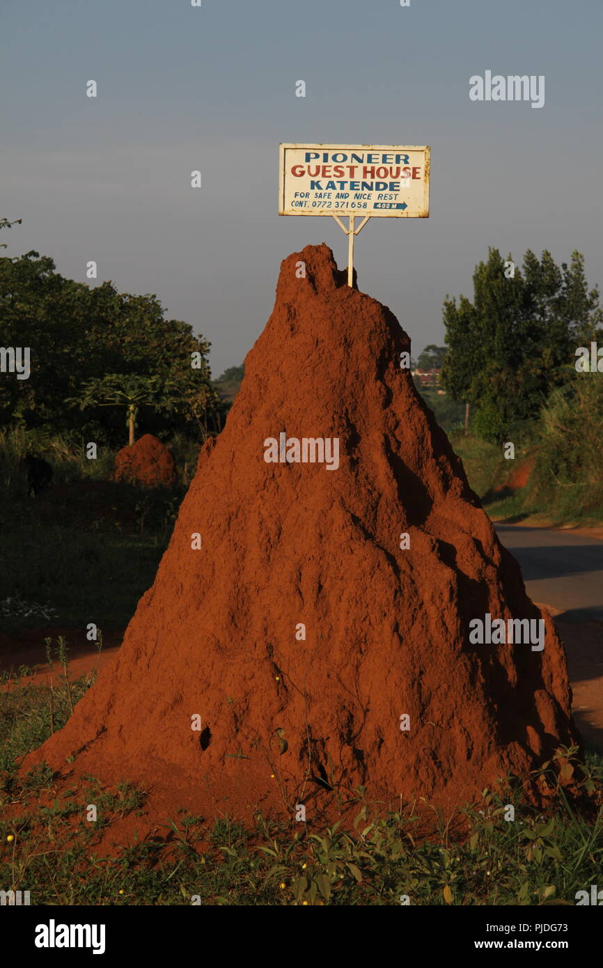 A sign for a guesthouse is cleverly placed on top of a termite mound ...