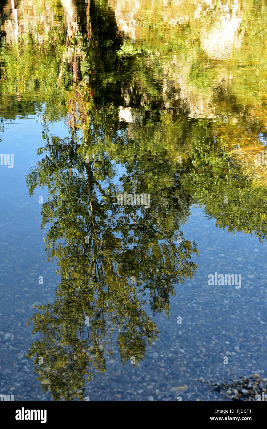 reflections of the forest in the river water Stock Photo - Alamy