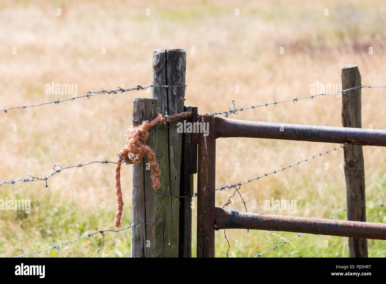 A red rope holding farm gate closed Stock Photo - Alamy