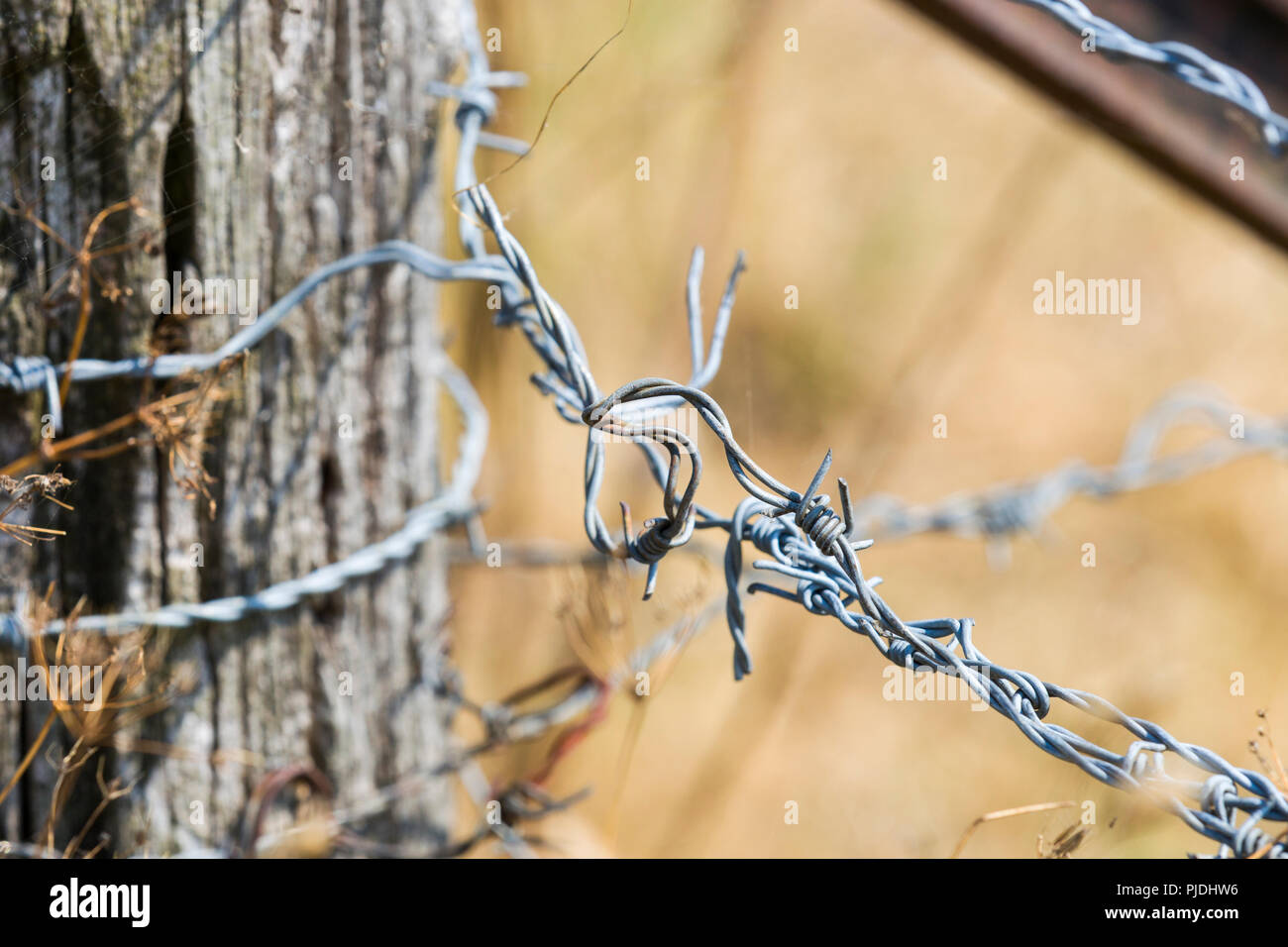 Jagged wood fence garden hi-res stock photography and images - Alamy
