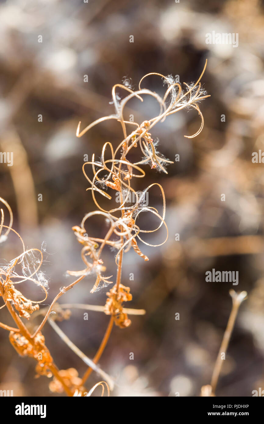 Trying to stay dry hi-res stock photography and images - Alamy