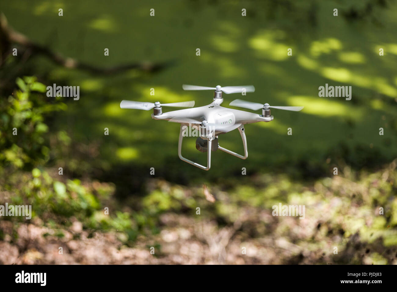 Flying drone with wildlife hi-res stock photography and images - Alamy