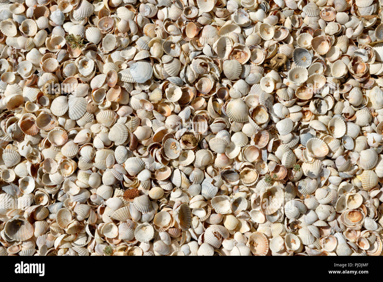 Orthogonal structure hi-res stock photography and images - Alamy