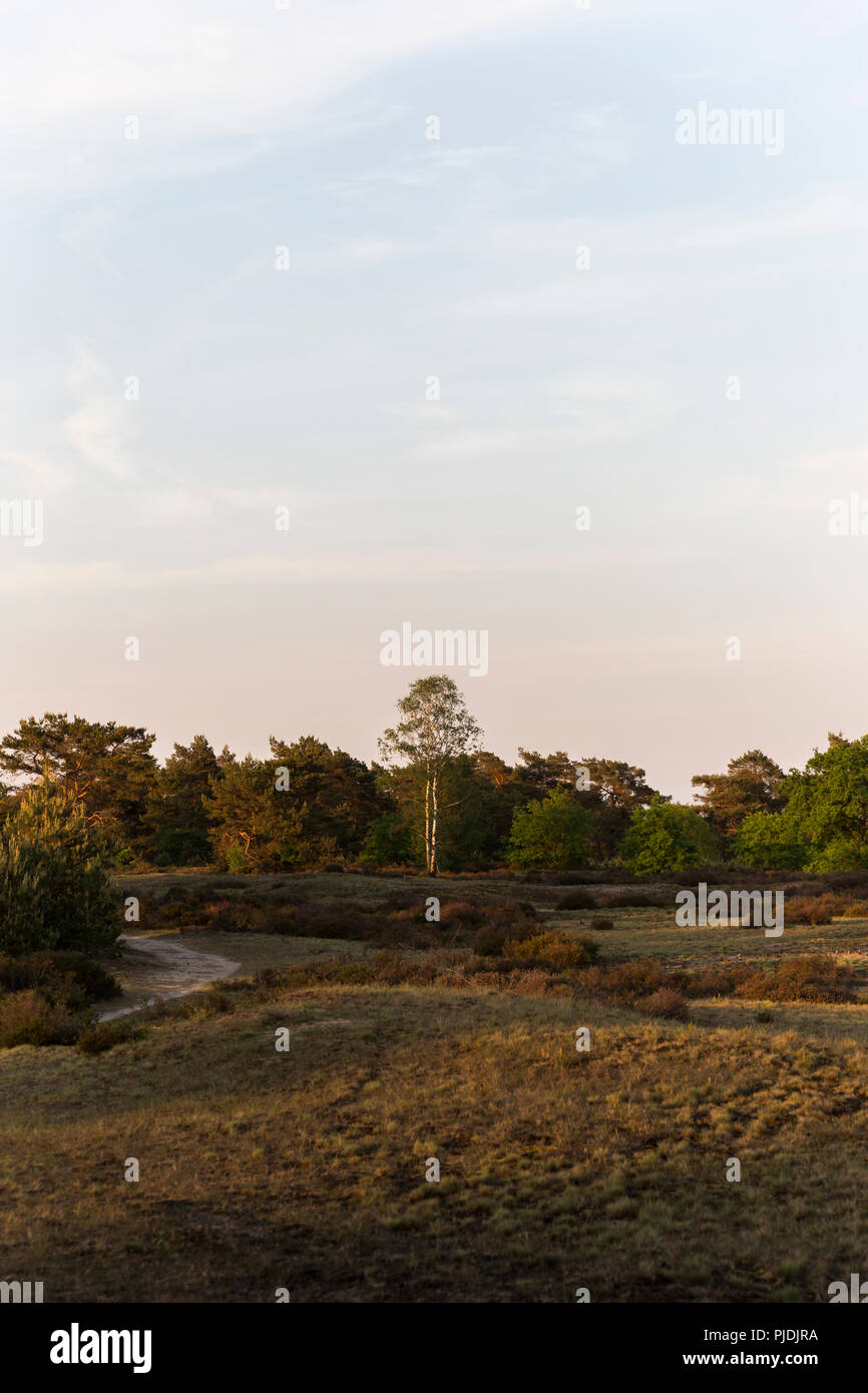 A gorgeous open dusk landscape unfolding before the lens Stock Photo ...
