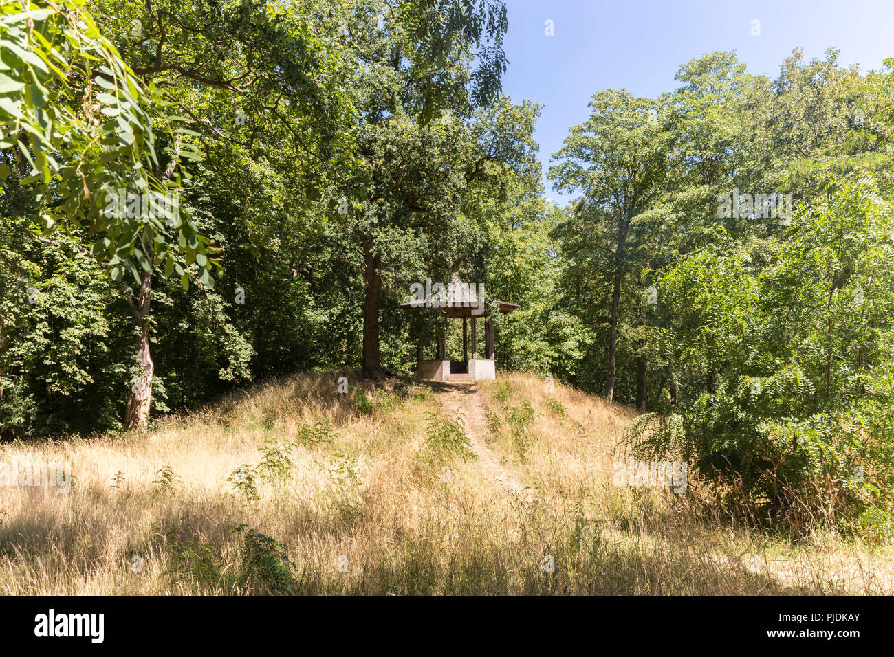 Vascular pathway hi-res stock photography and images - Alamy