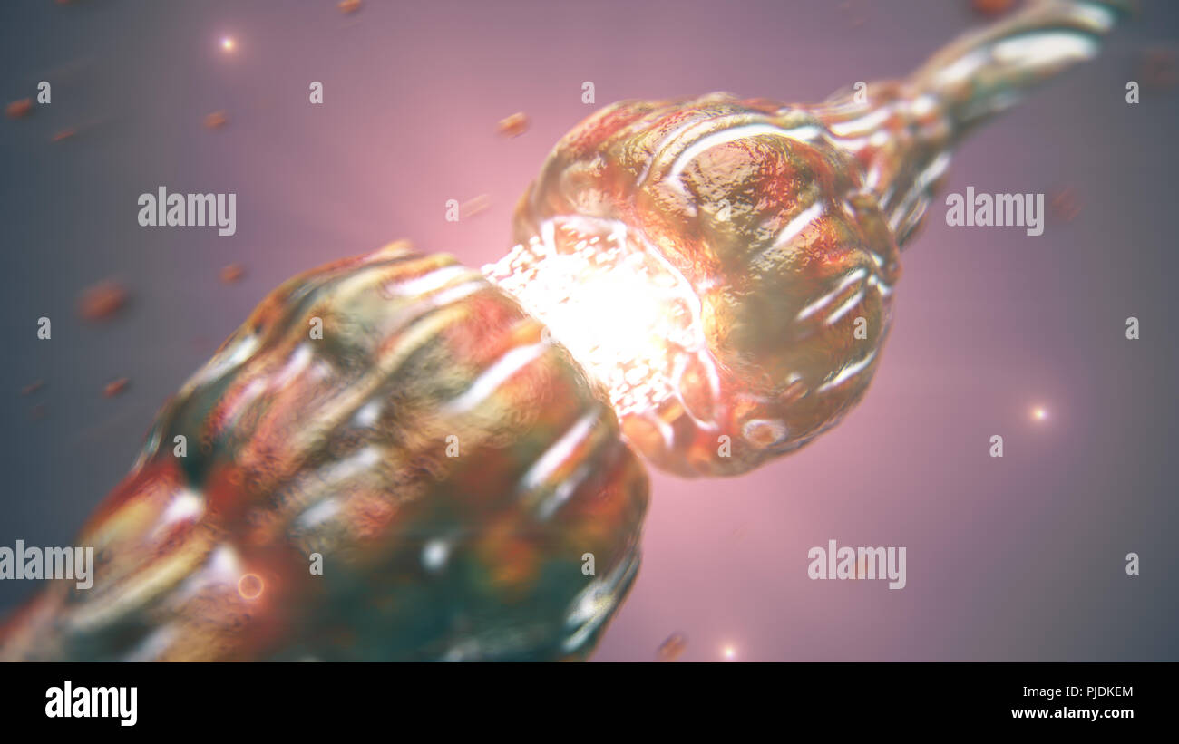 Neurotransmission in the synapse - 3D Rendering Stock Photo - Alamy