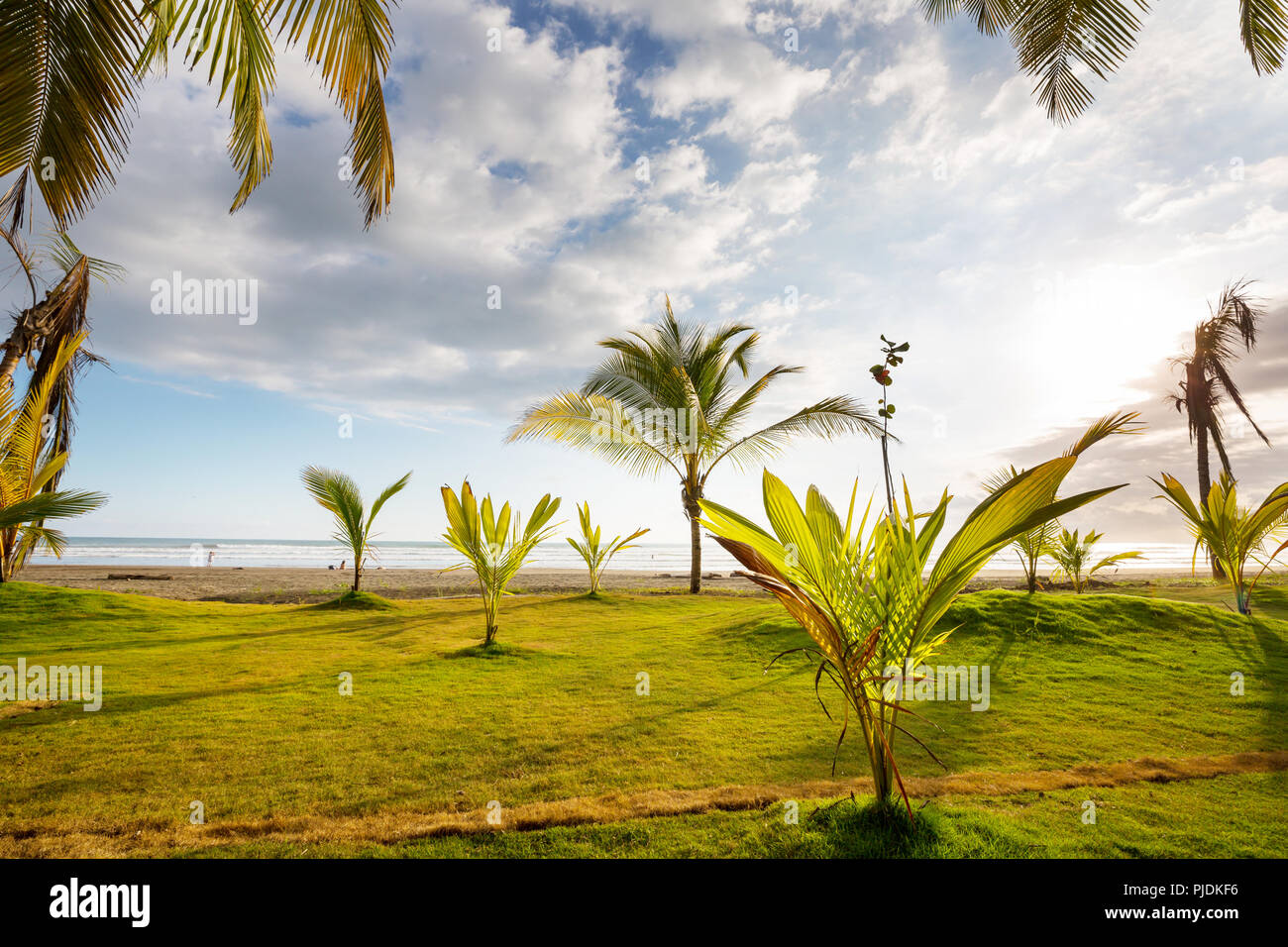 Beautiful tropical Pacific Ocean coast in Costa Rica Stock Photo - Alamy
