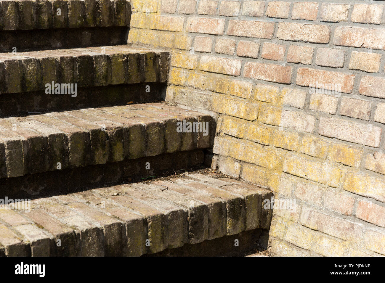 Harsh lighting hi-res stock photography and images - Alamy