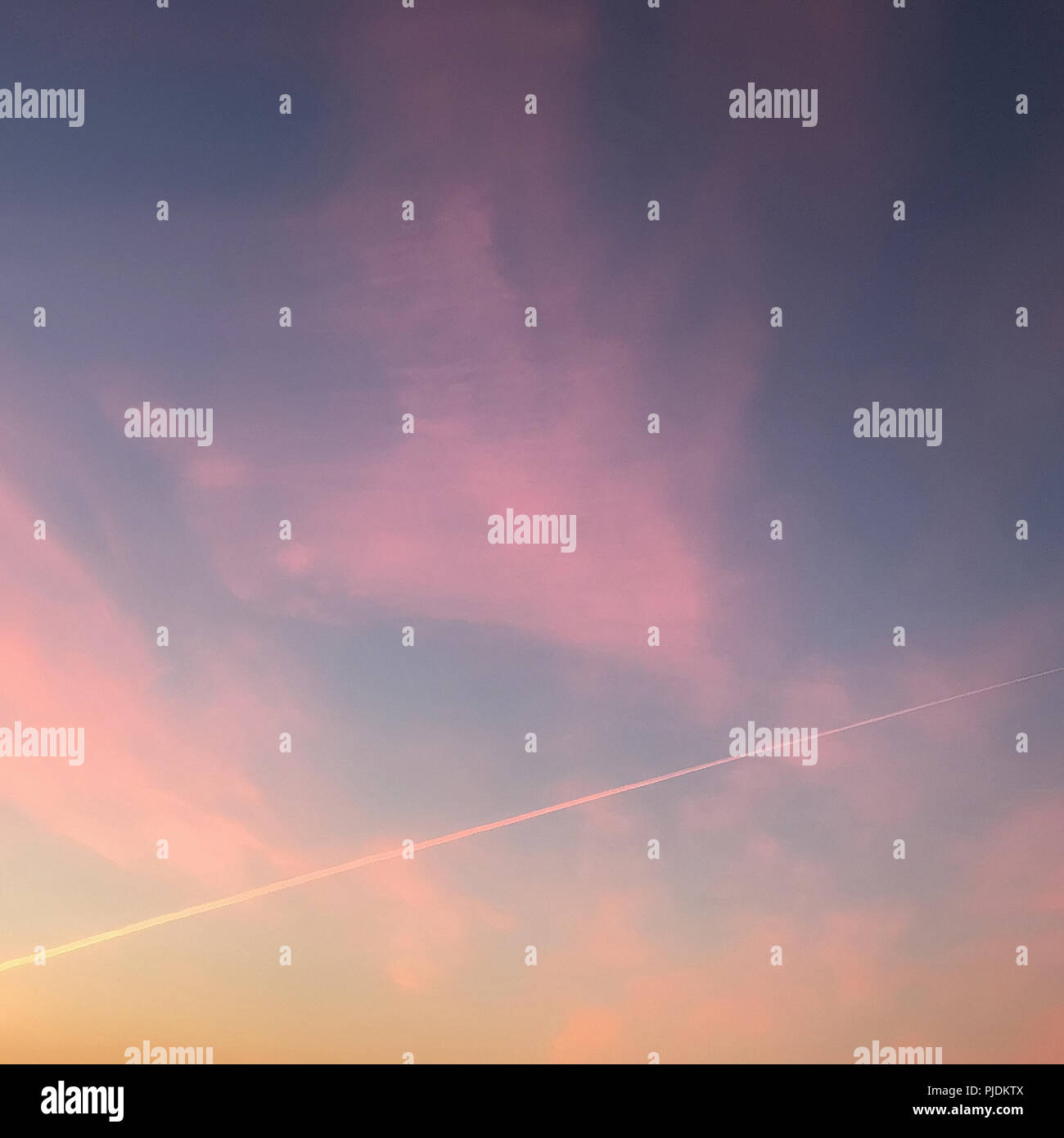 Beauty Fading High Resolution Stock Photography and Images - Alamy