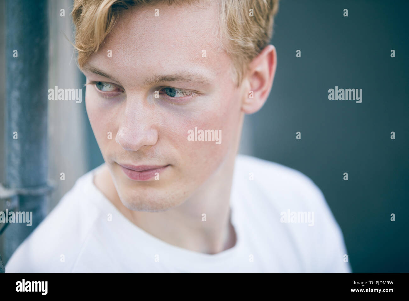 Daydreaming man hi-res stock photography and images - Alamy