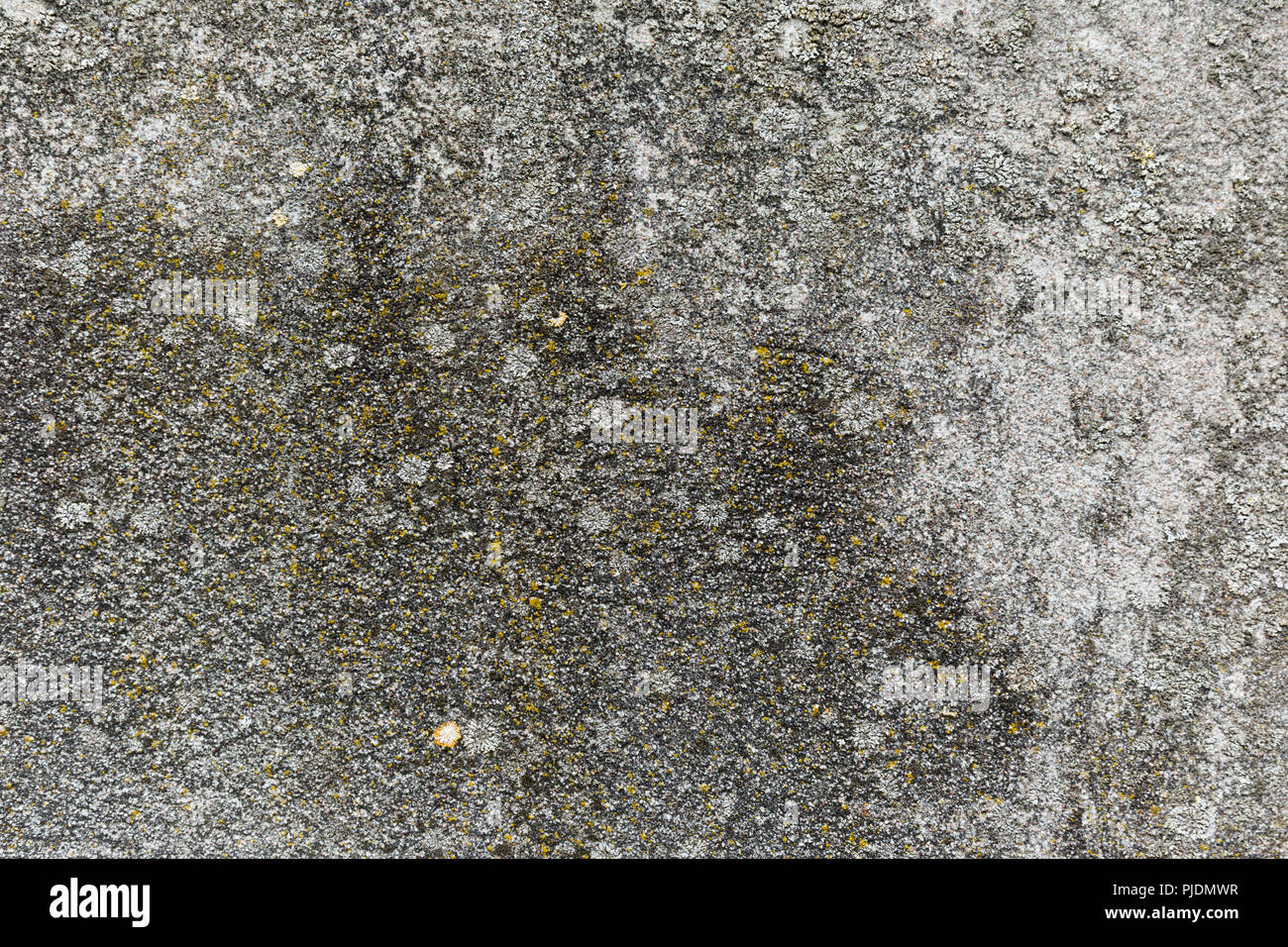 Own share hi-res stock photography and images - Alamy