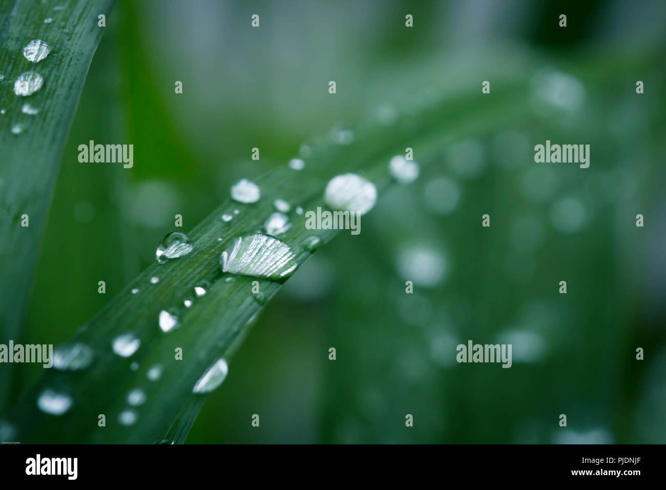 Dust drops hi-res stock photography and images - Alamy