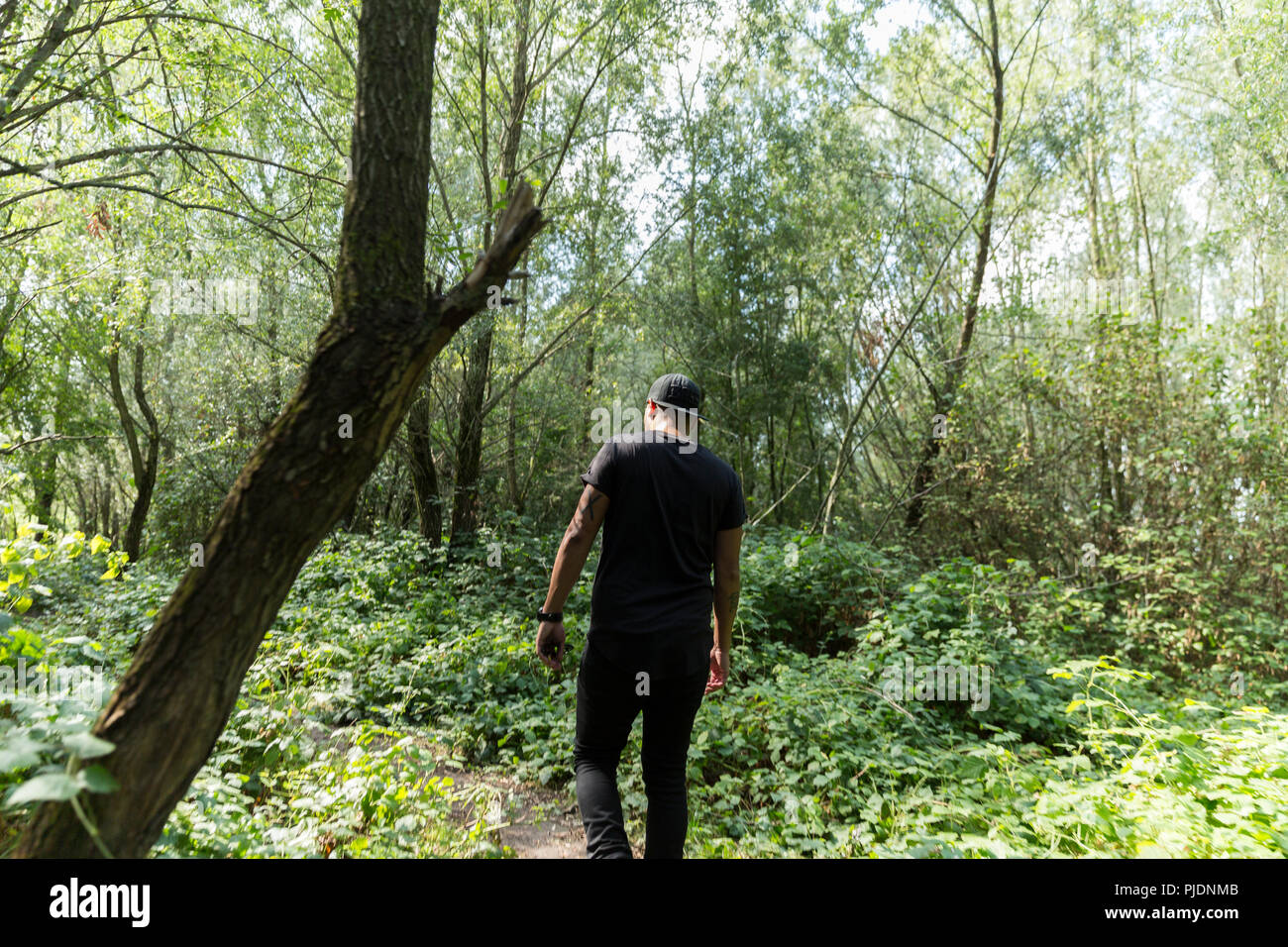 Man walking on a bush trail hi-res stock photography and images - Alamy