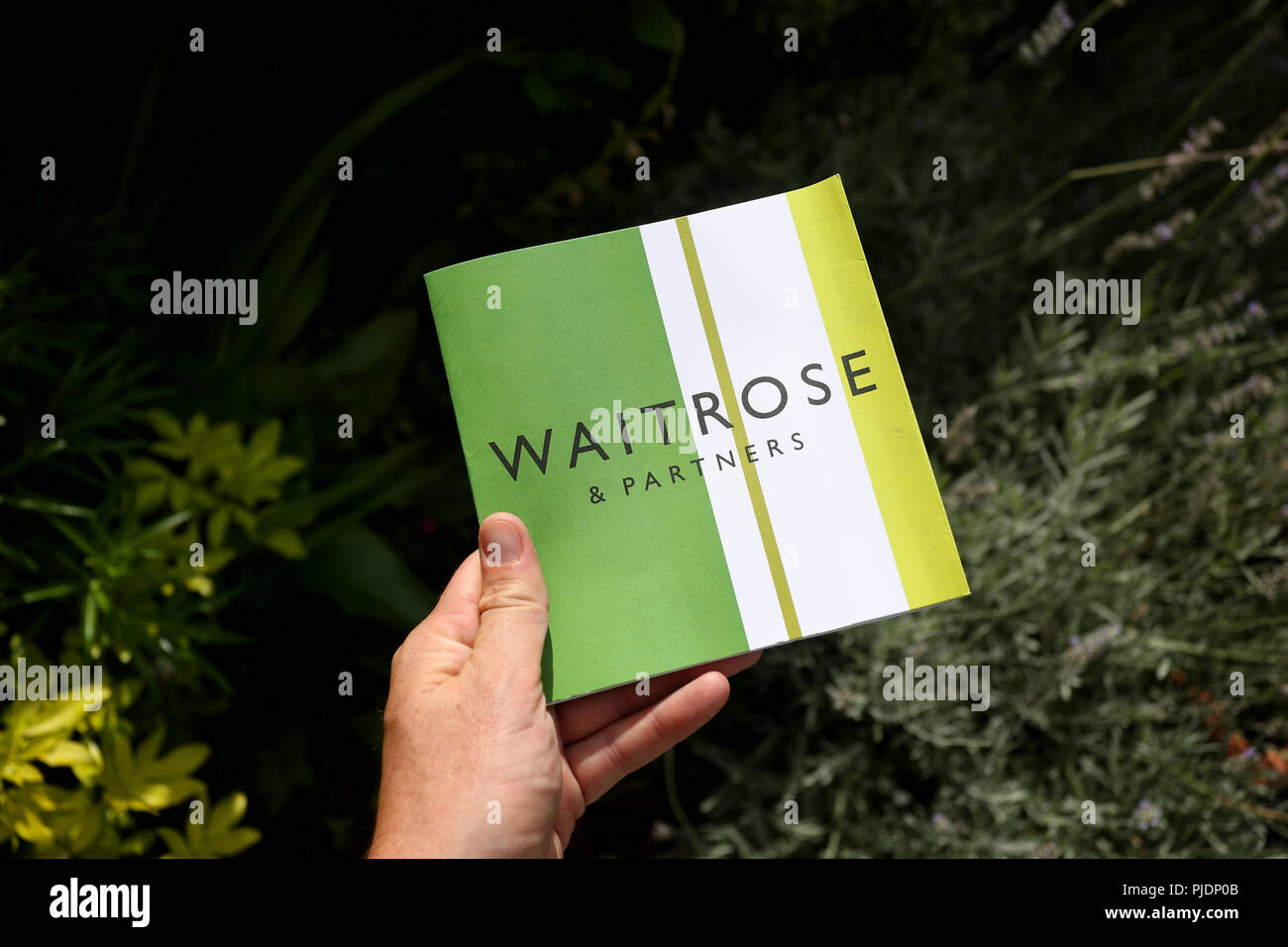 Waitrose & Partners, a new logo and branding for the Waitrose ...