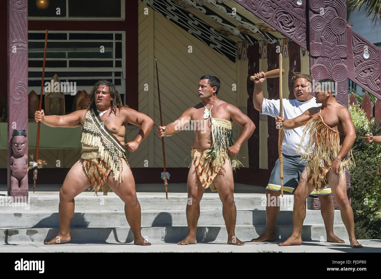 Traditional Maori Welcome commitee in New Zealand Stock Photo - Alamy