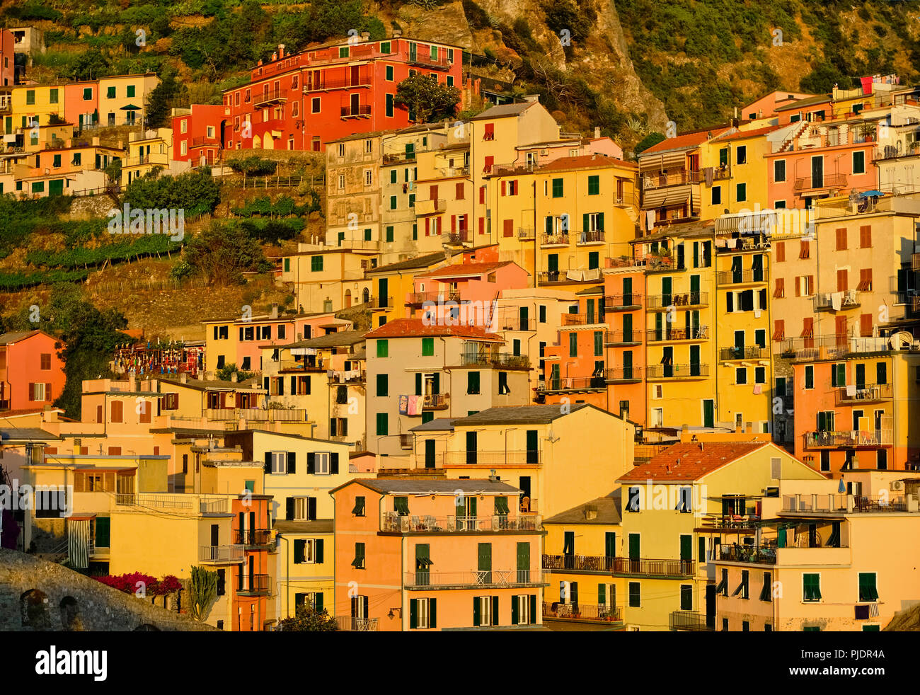 Italy, Liguria, Cinque Terre, Manarola, A section of the town's ...