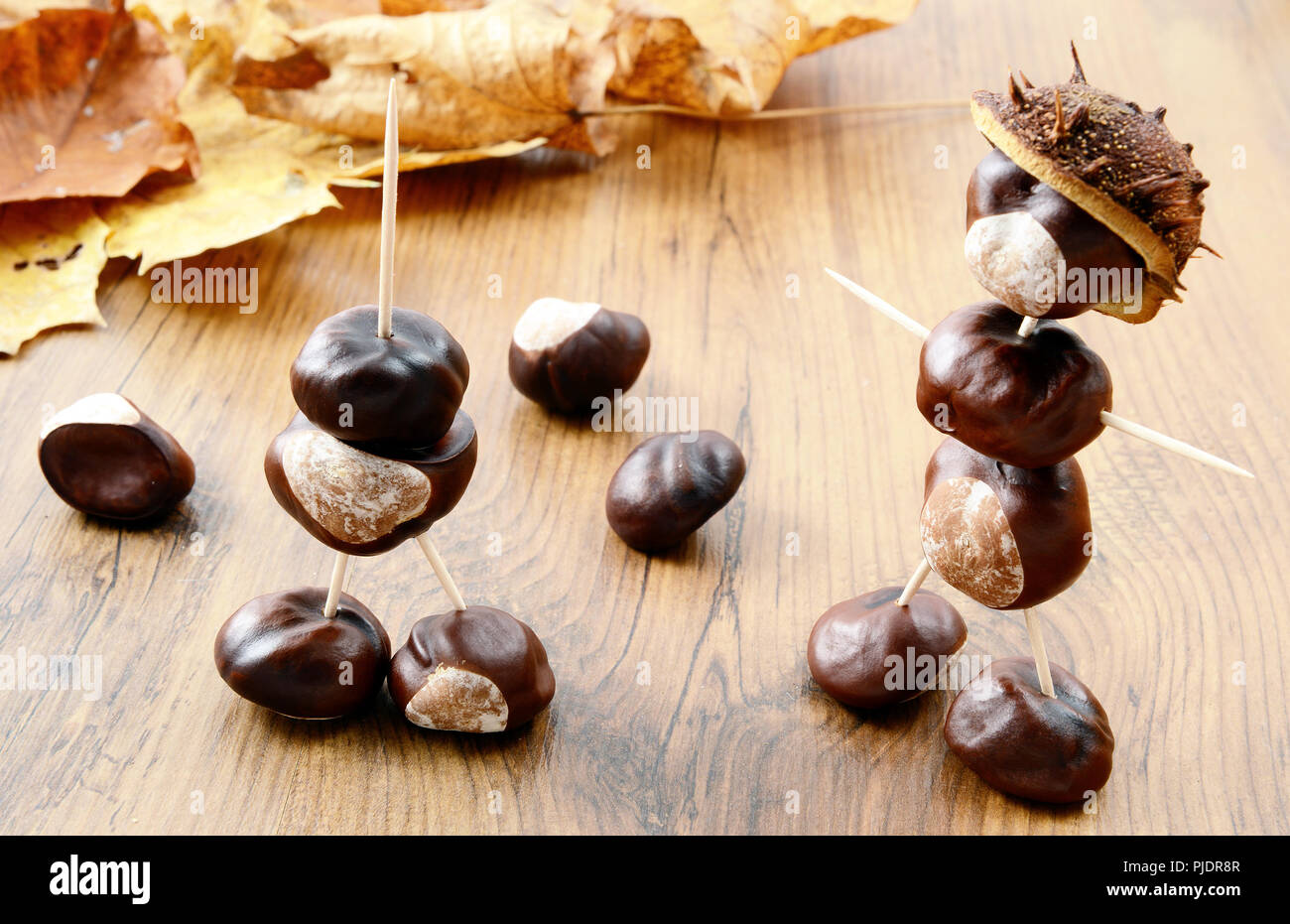 Creating Chestnut figures made of nuts. Maple leaves in background ...