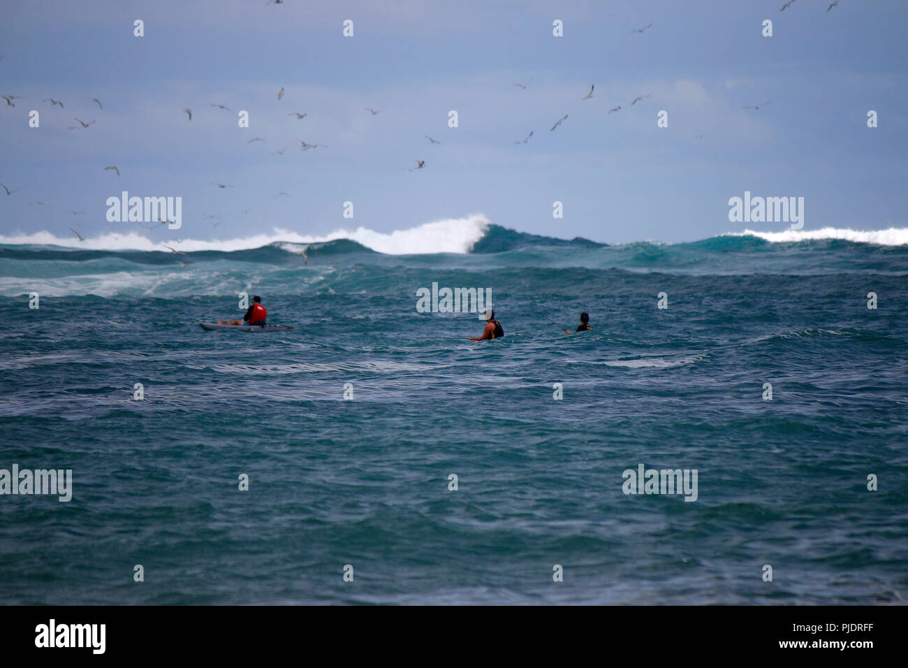 Kanu-Paddler an Wellen im Pazifischen Ozean, Port Campbell, Port ...