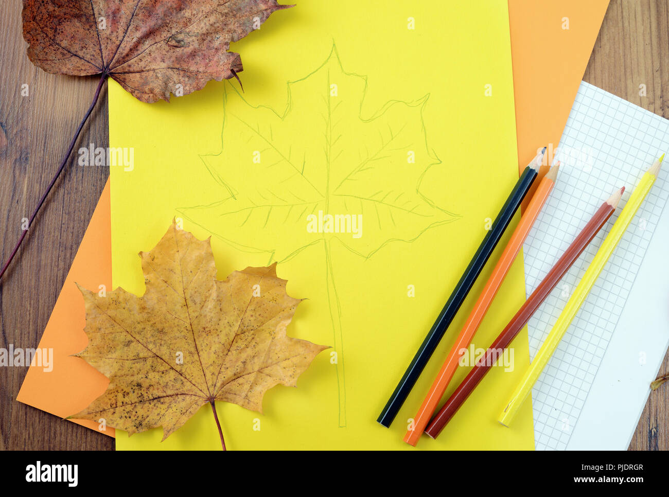 tinker autumn decoration of maple leaves. painting leave shape on paper ...